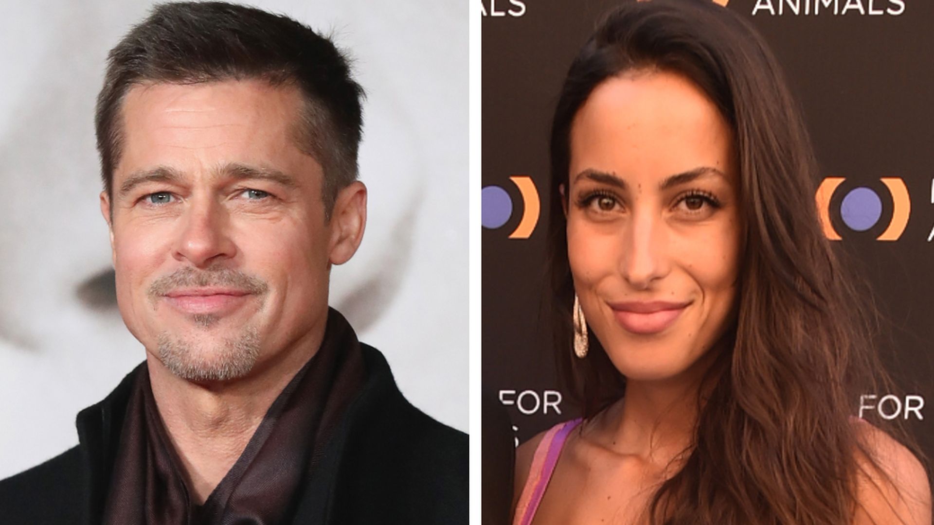 59. Geburtstag: Brad Pitt feiert Party mit Ines De Ramon!
