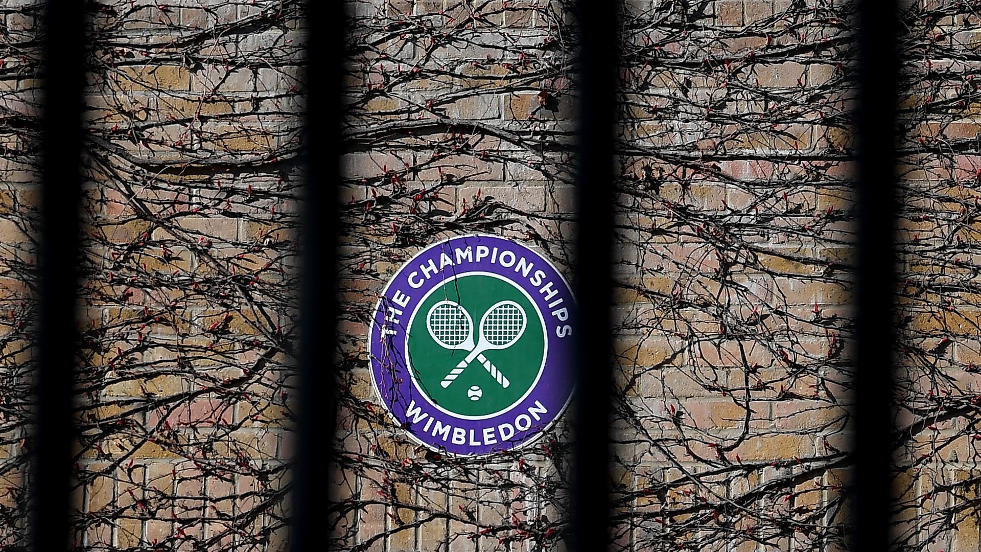 Wimbledon Championships | Promiflash