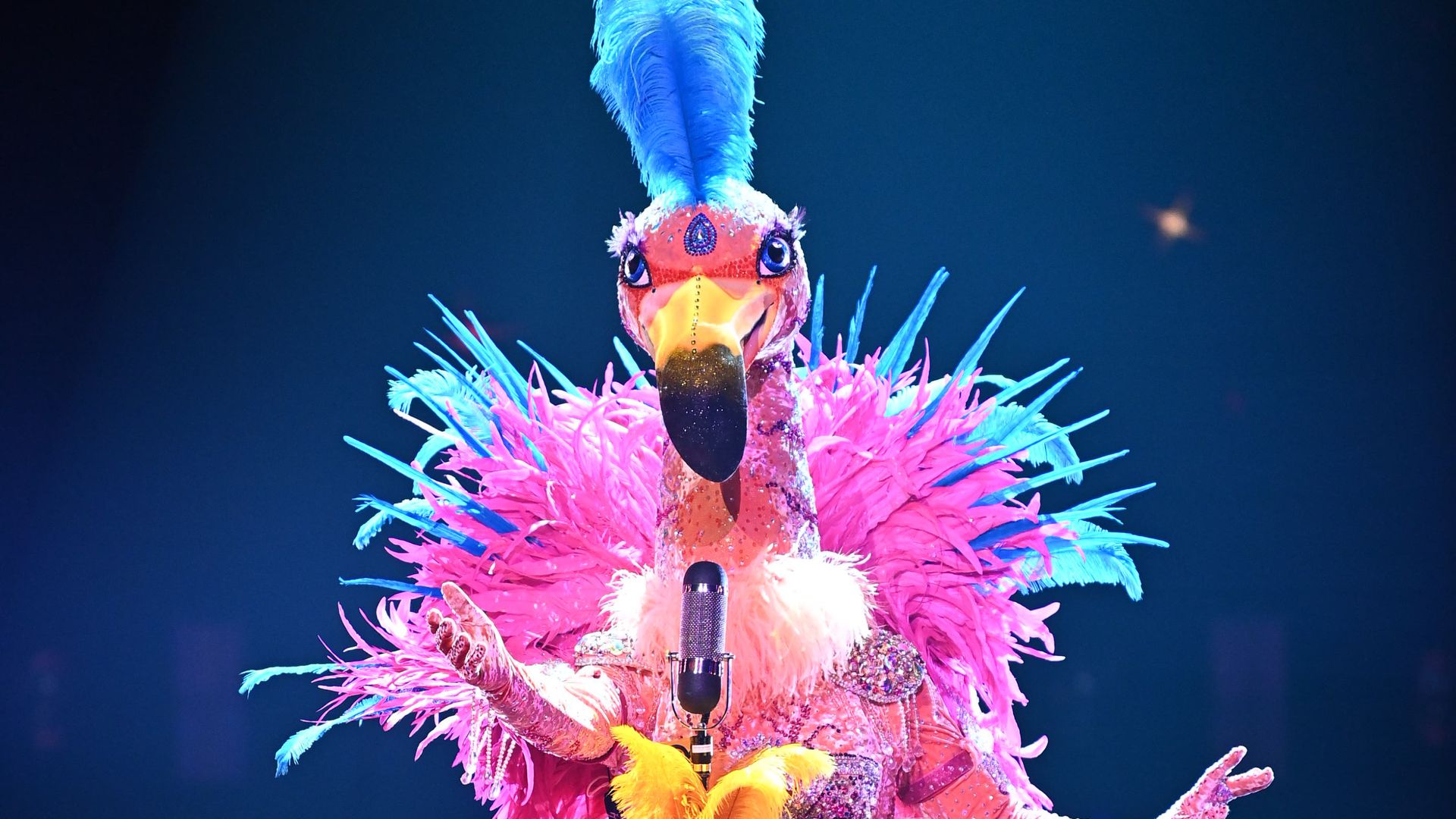 Welches Geschlecht hat der "The Masked Singer"-Flamingo?