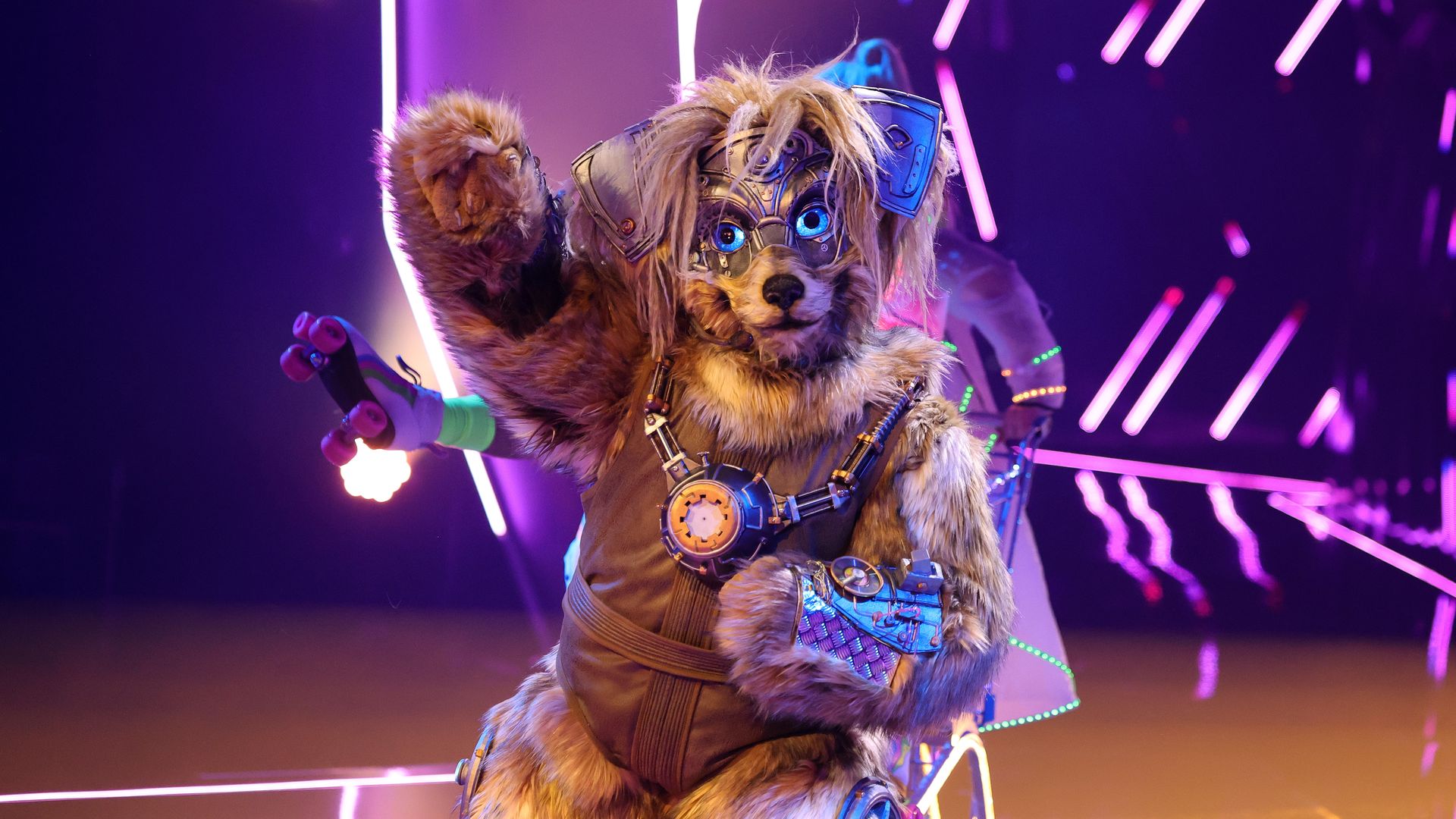 Indizien beweisen: Ist sie der "The Masked Singer"-Robodog?
