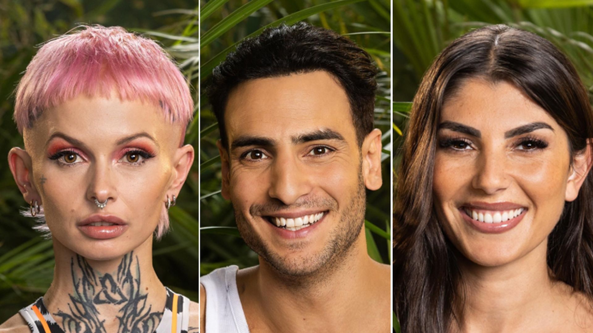 Diese Kandidaten würden im Dschungelcamp 2025 blankziehen