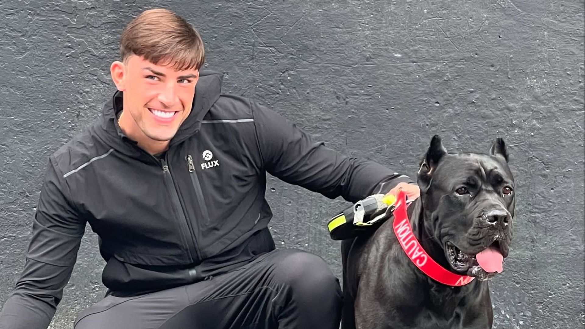 UK-Star Jack Fincham muss wegen Hundebisses ins Gefängnis