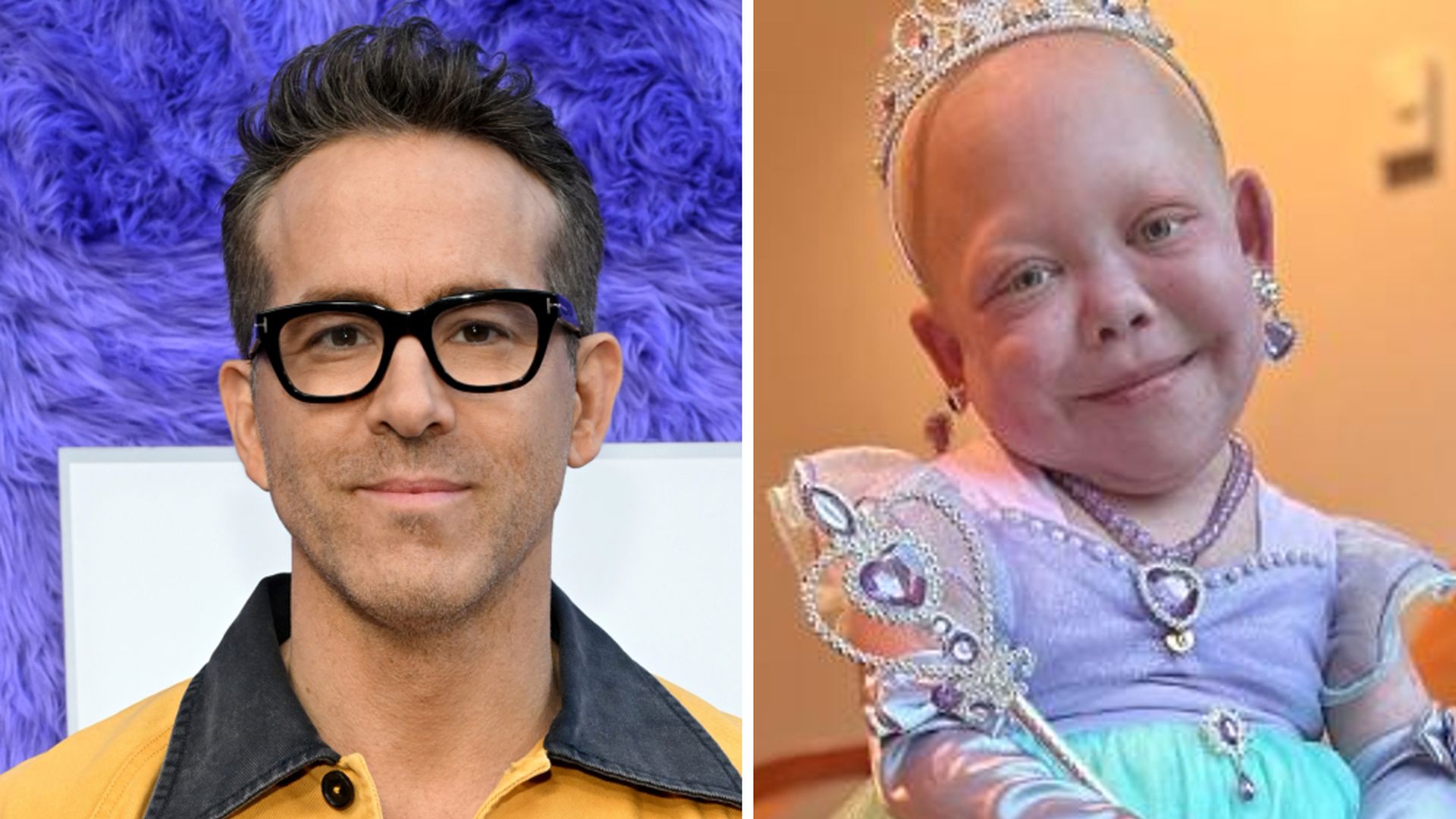 "So charmant": Ryan Reynolds trauert um verstorbene Bella