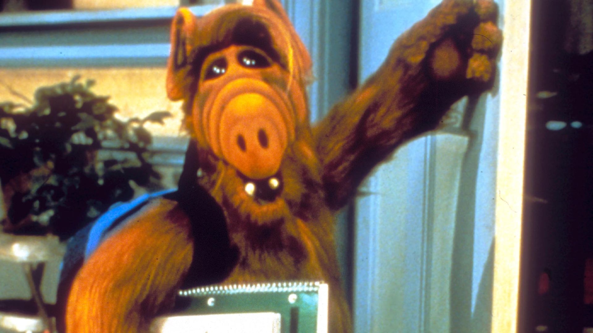 Er spielte den Alien: ALF-Darsteller Michu Meszaros ist tot | Promiflash.de