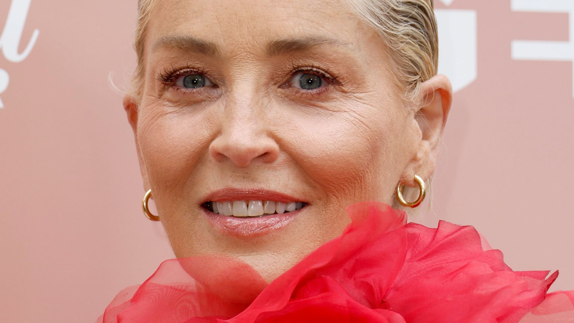 Sharon Stone bekam nach ihrem Schlaganfall keine Jobs mehr!