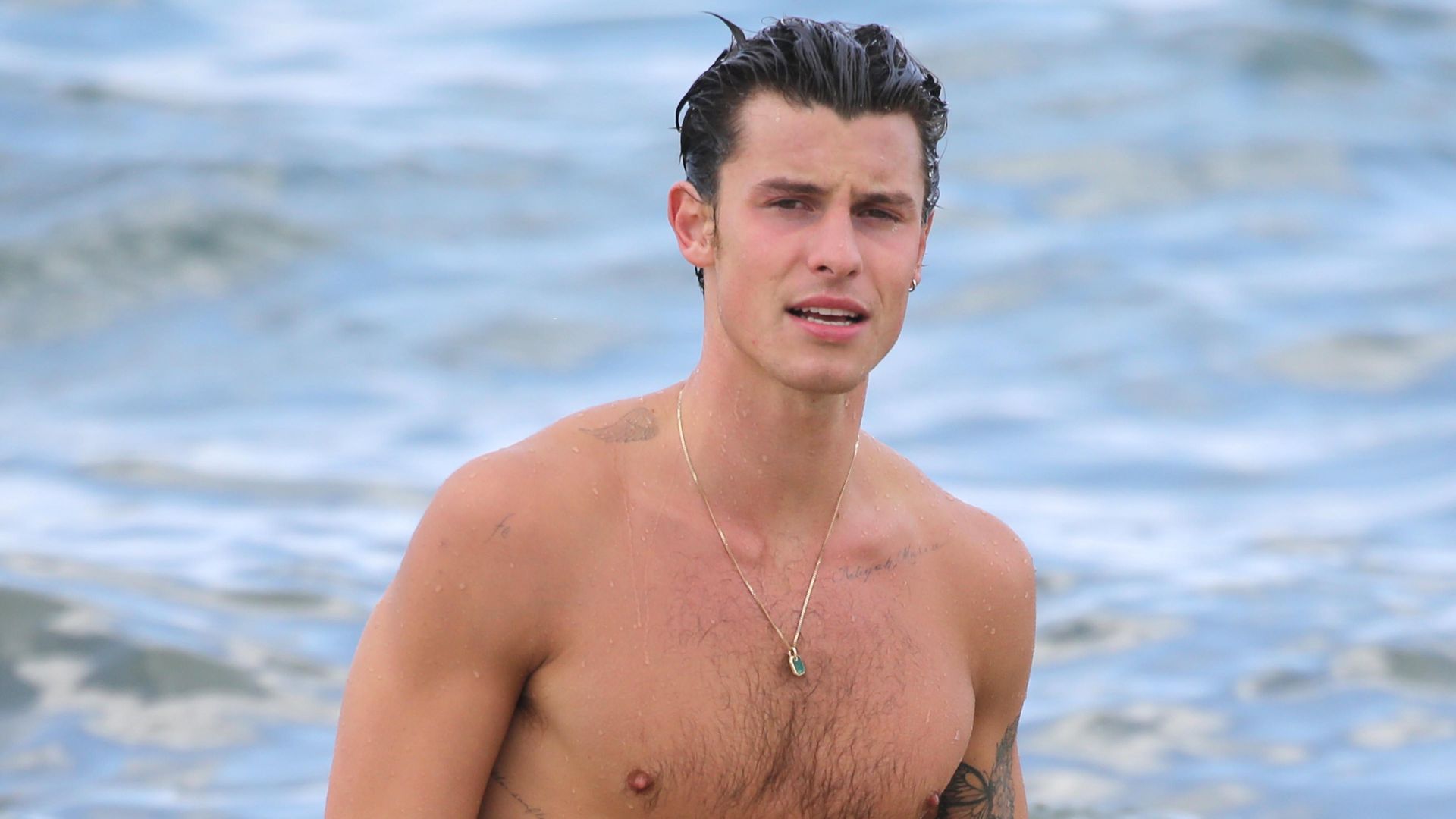 Sexy! Shawn Mendes zeigt seine heißen Muskeln am Strand