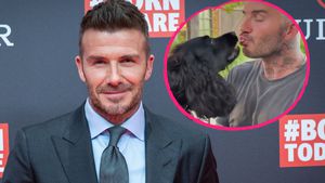 David Beckham | Promiflash.de