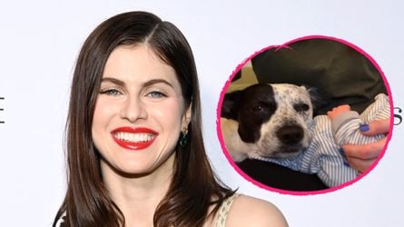 Alexandra Daddario kontert Schauspielerei-Kritik mit Scherz