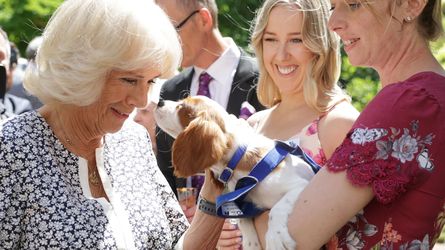 Cara Delevingnes Schwester Poppy wird zum ersten Mal Mama