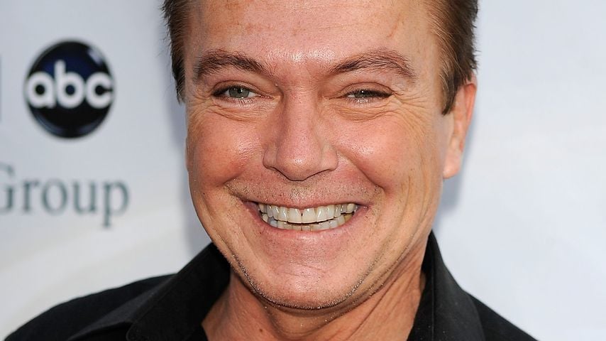 David Cassidys (†67) Testament: Tochter Katie geht leer aus ...